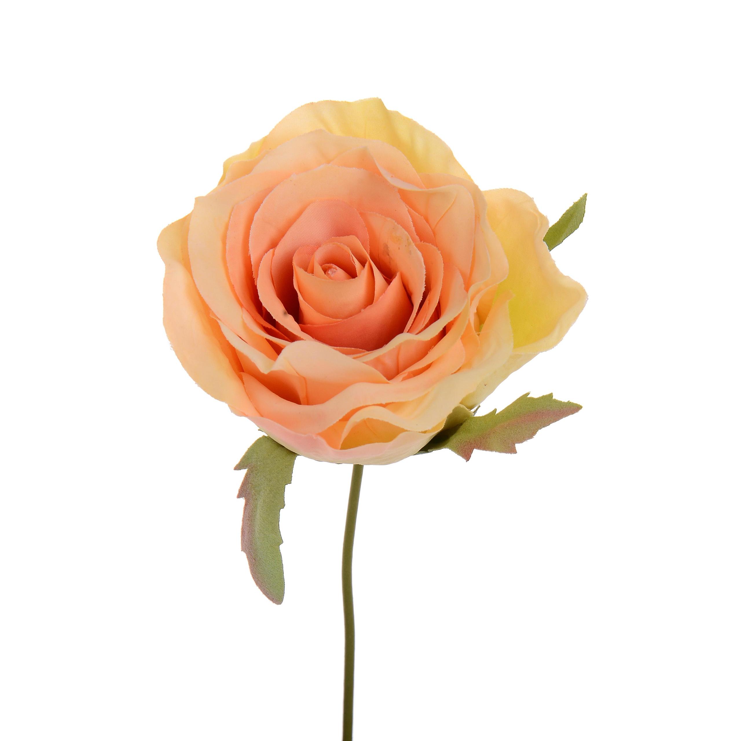 Set 12 Rose Artificiali Testa con Gambo Altezza 10 cm – acquista su ...