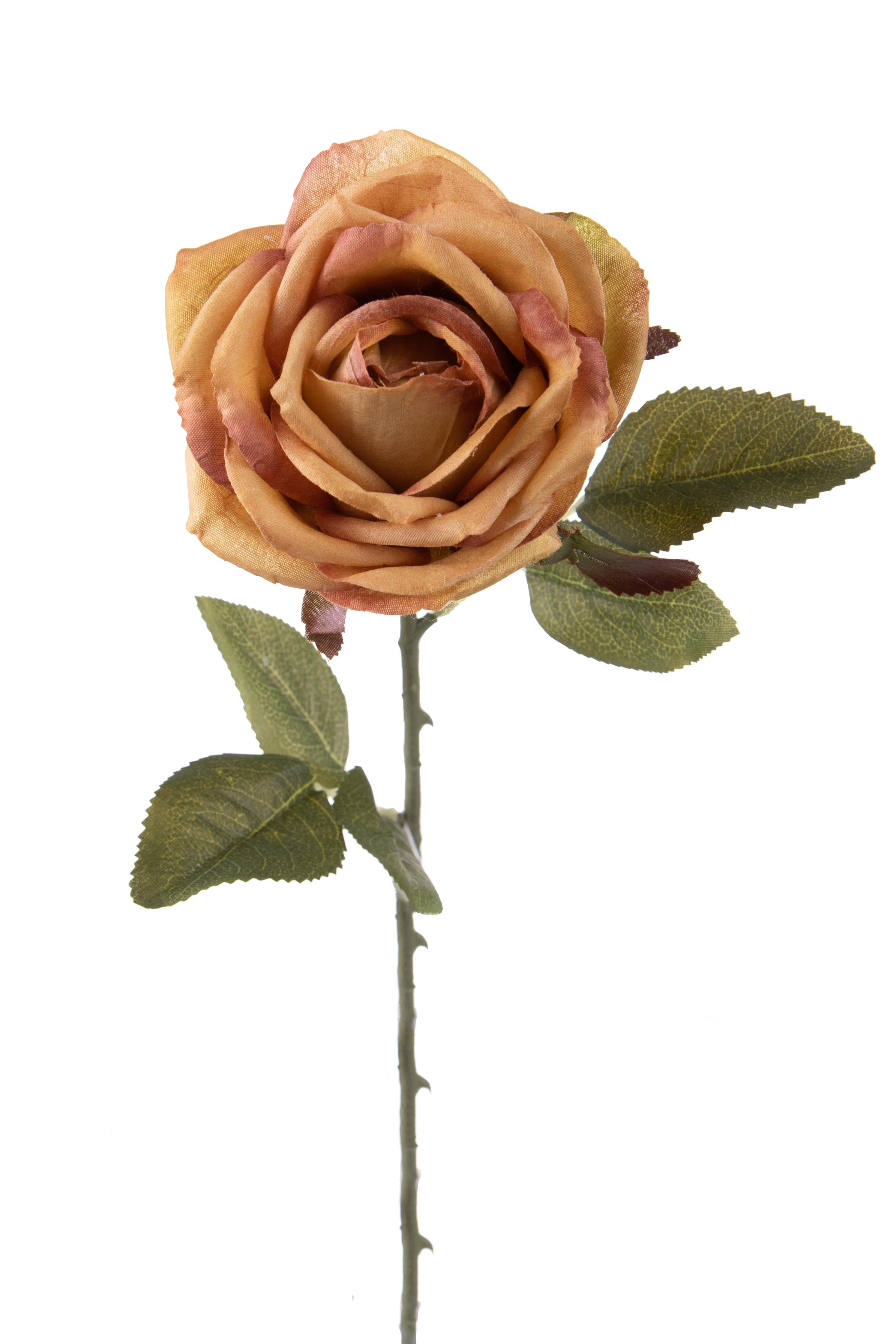 Set 8 Rose Artificiali Aperta 51 cm – acquista su Giordano Shop