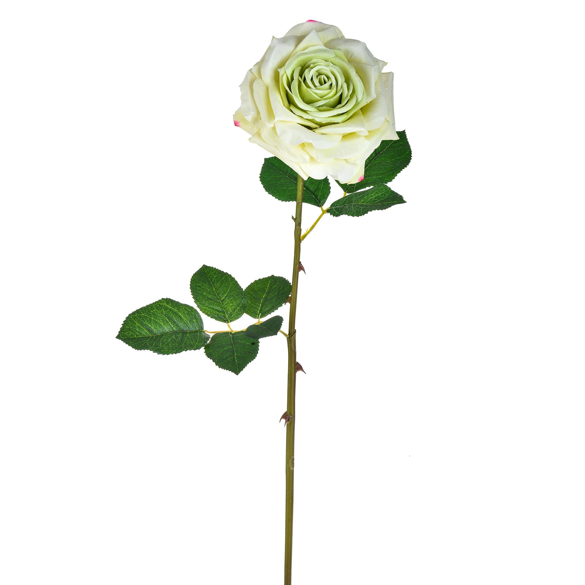 Set 4 Rose Artificiali Aperta Altezza 79 cm Verde – acquista su ...
