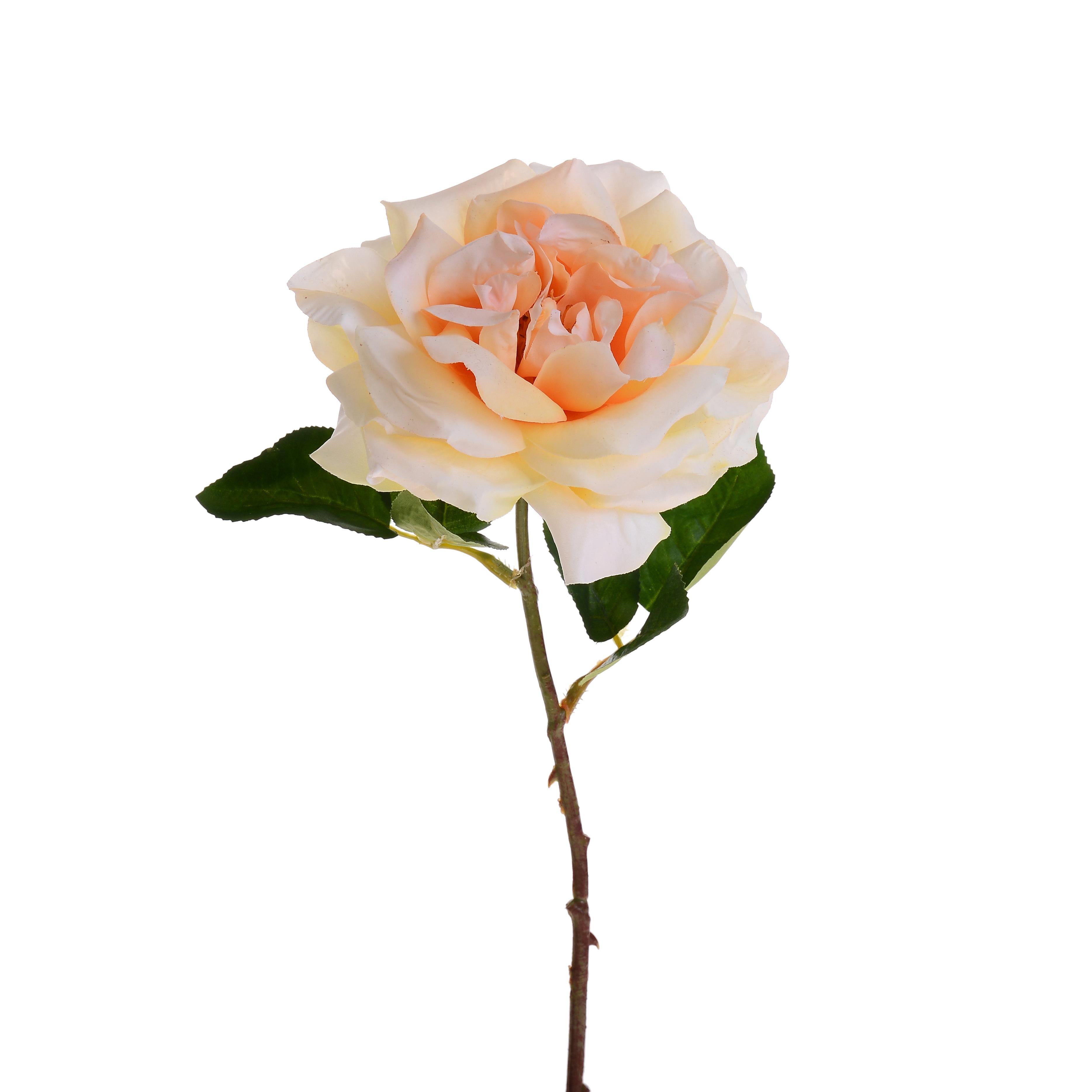 Set 6 Rose Artificiali Aperta H 50 cm – acquista su Giordano Shop