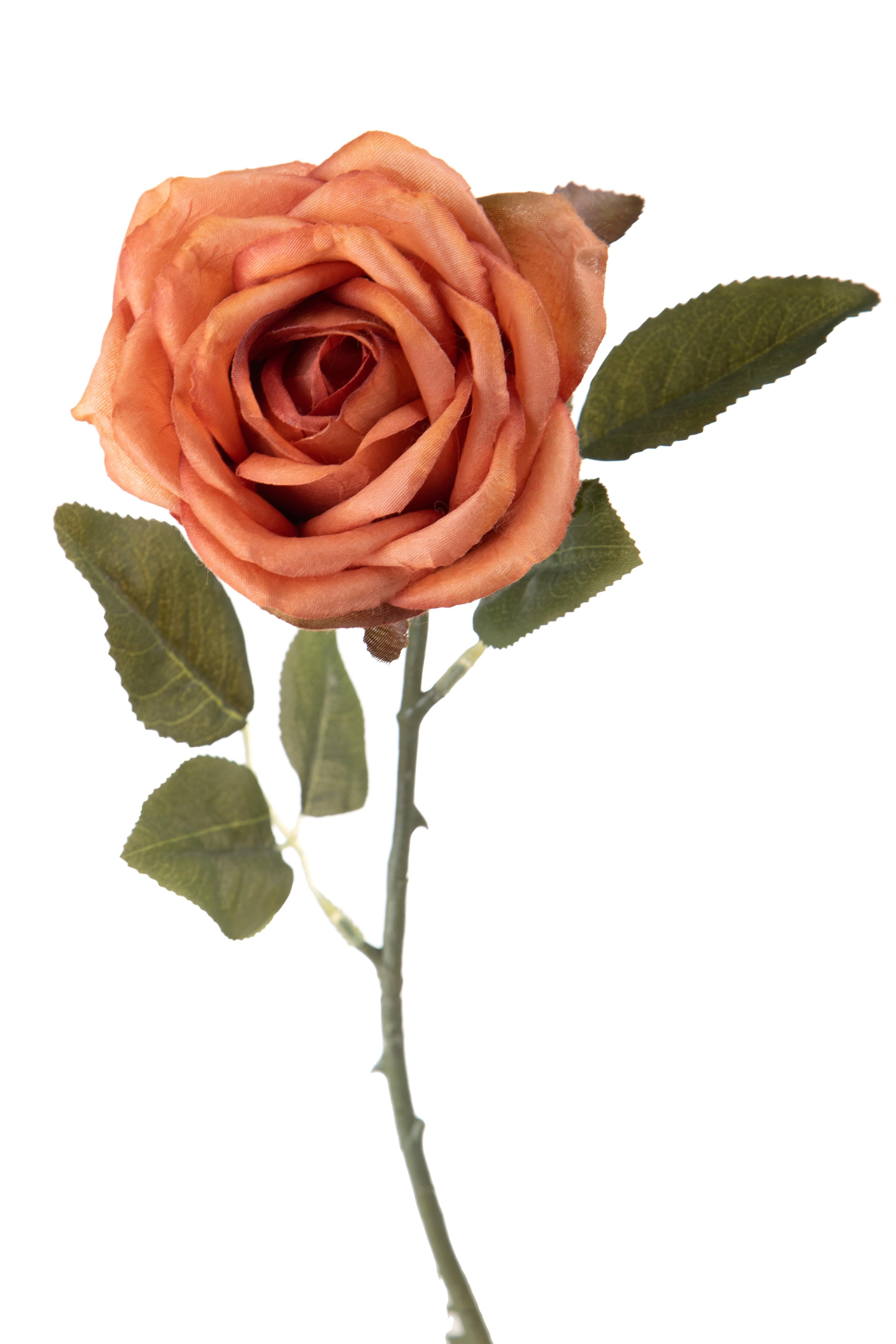 Set 8 Rose Artificiali Aperta Atezza 51 cm – acquista su Giordano Shop
